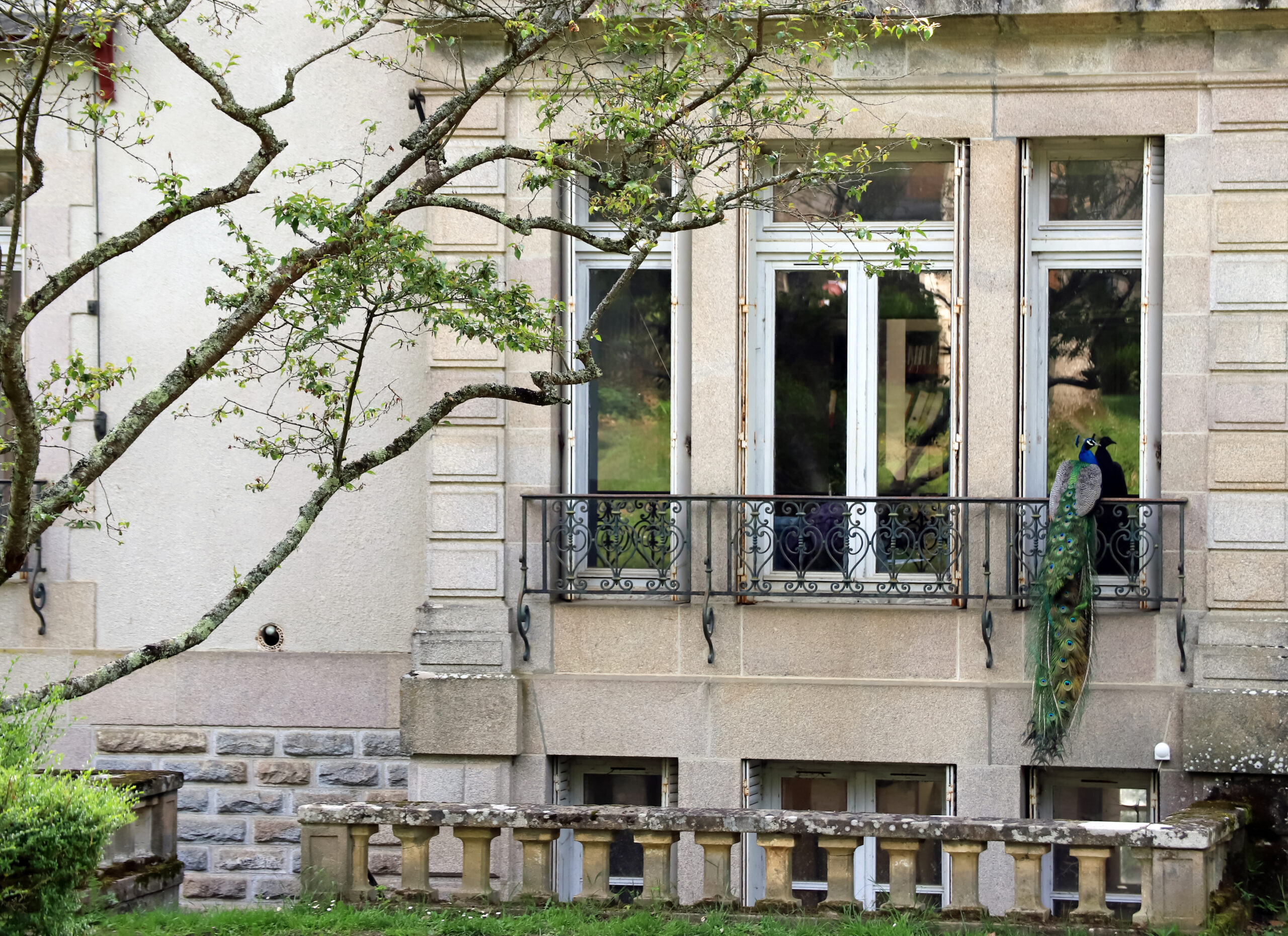 Le survitrage : une solution miracle pour isoler votre maison ou simple ...